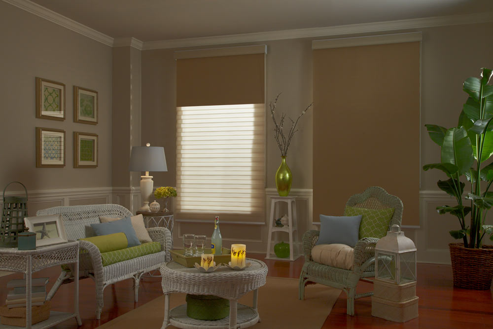Allure Transitional Shades by Lafayette Interior Fashions
